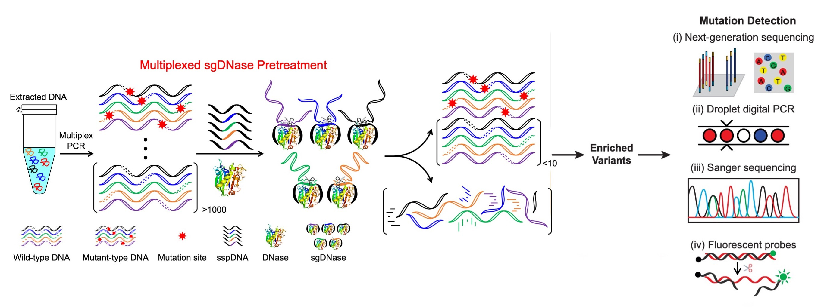 Enhancing Clinical Mutation Detection: A Game-Changing Molecular Approach | Research Communities ...